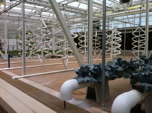 Disney's Living with the Land Epcot Greenhouse Can Grow 35,000 Tomatoes ...