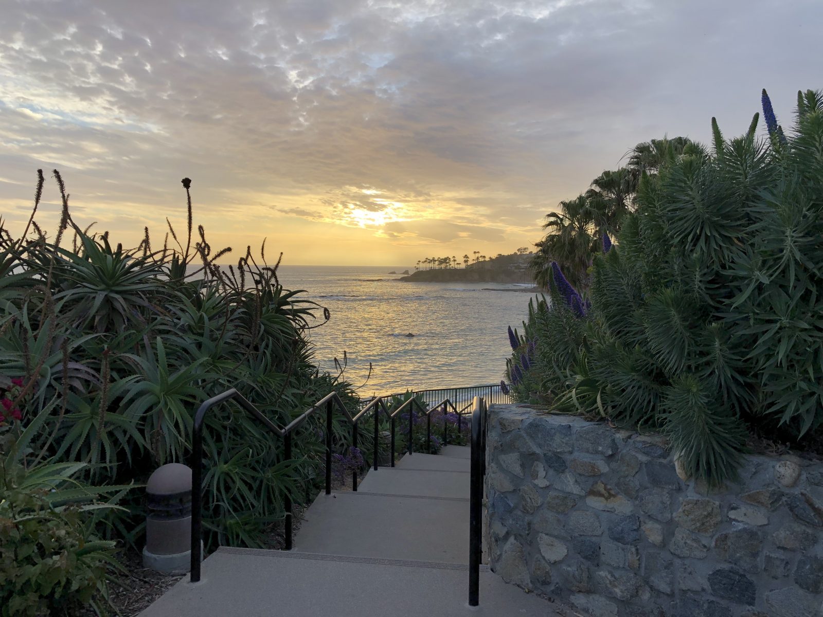 Hawaiian Cheeseburgers and an After-Dinner Walk in Laguna Beach